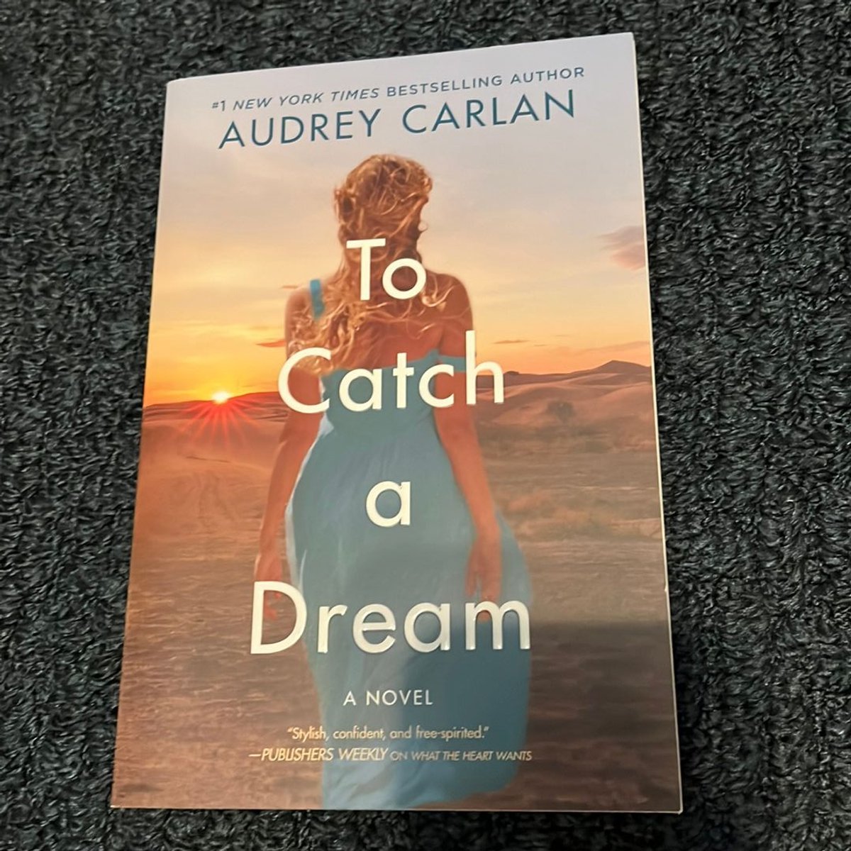 To Catch a Dream by Audrey Carlan