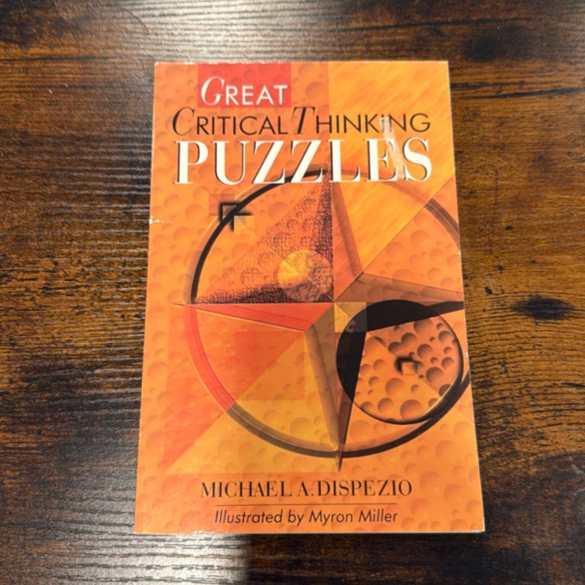 Great Critical Thinking Puzzles by Michael Anthony DiSpezio