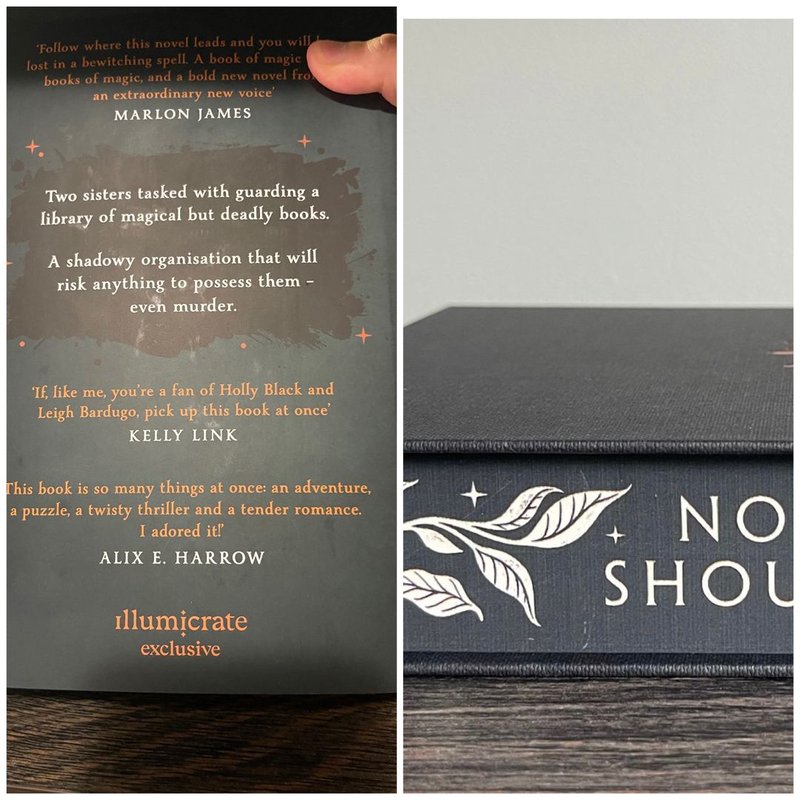SIGNED - Ink Blood Sister Scribe Illumicrate Special Edition by Emma ...