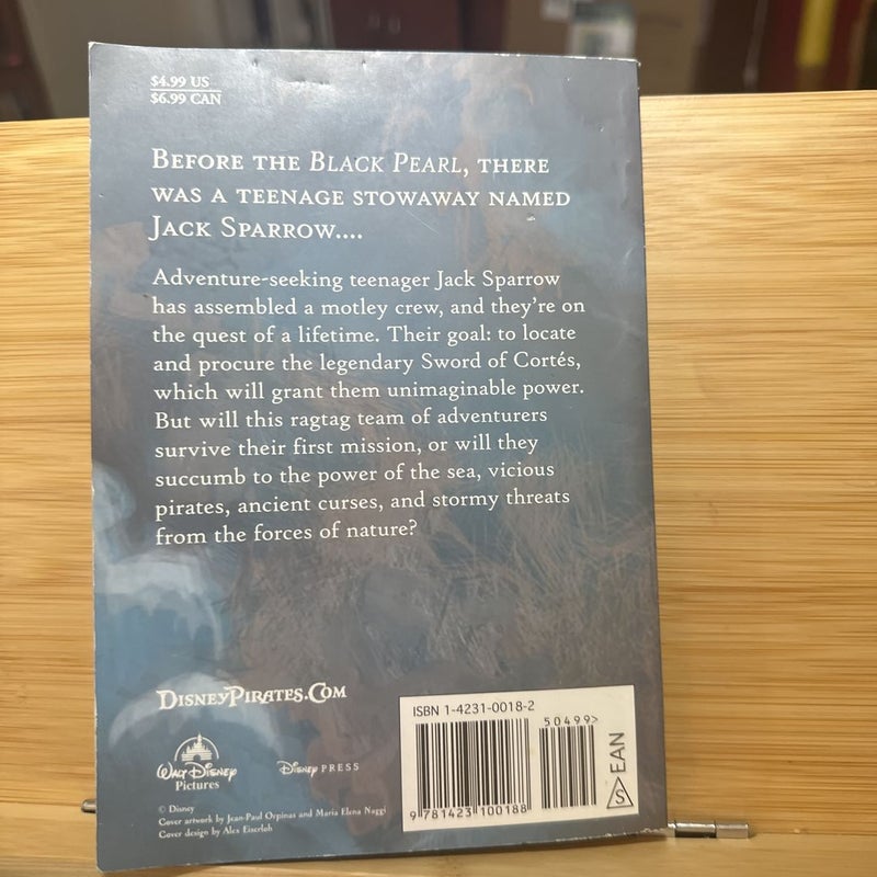 Pirates of the Caribbean: the Coming Storm - Jack Sparrow Book #1 by ...