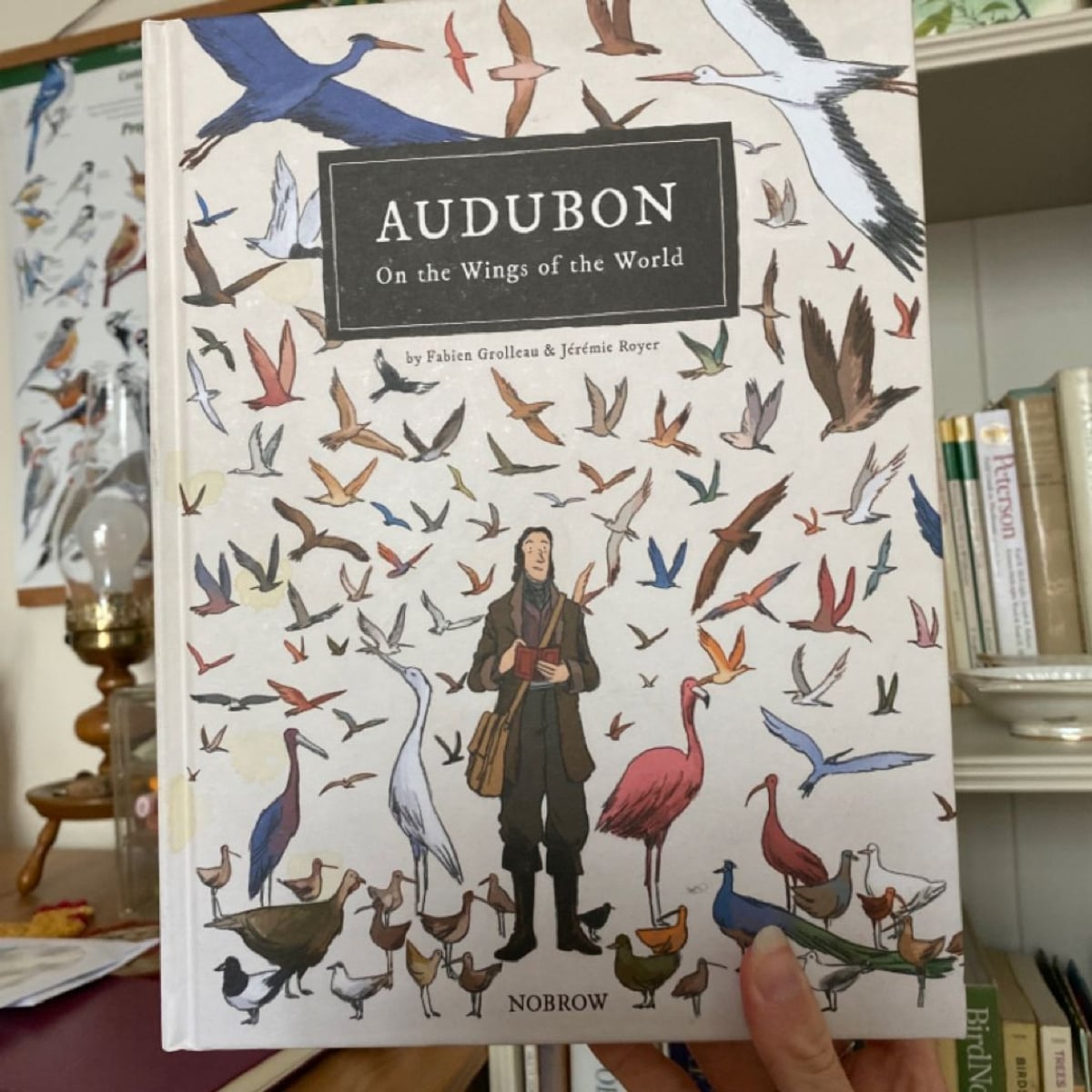 Audubon, on the Wings of the World [Graphic Novel] by Etienne Gilfillan ...