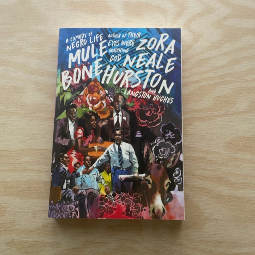 Mule Bone by Langston Hughes, Zora Neale Hurston