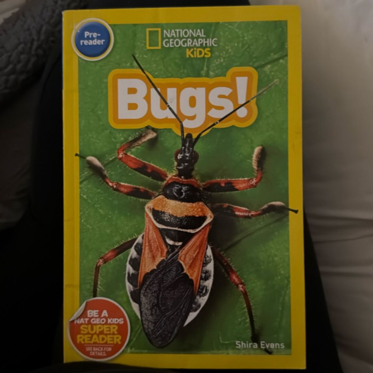 Bugs! (National Geographic Kids Readers, Pre-Reader) by Shira Evans
