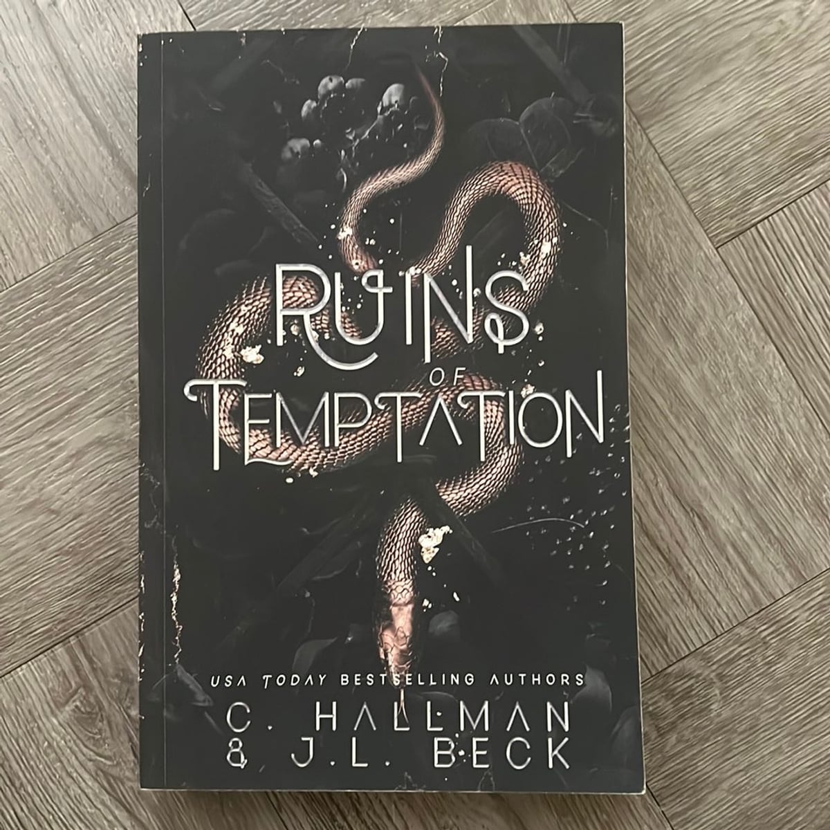 Ruins of Temptation by C. Hallman and J. L. Beck, Paperback | Pangobooks