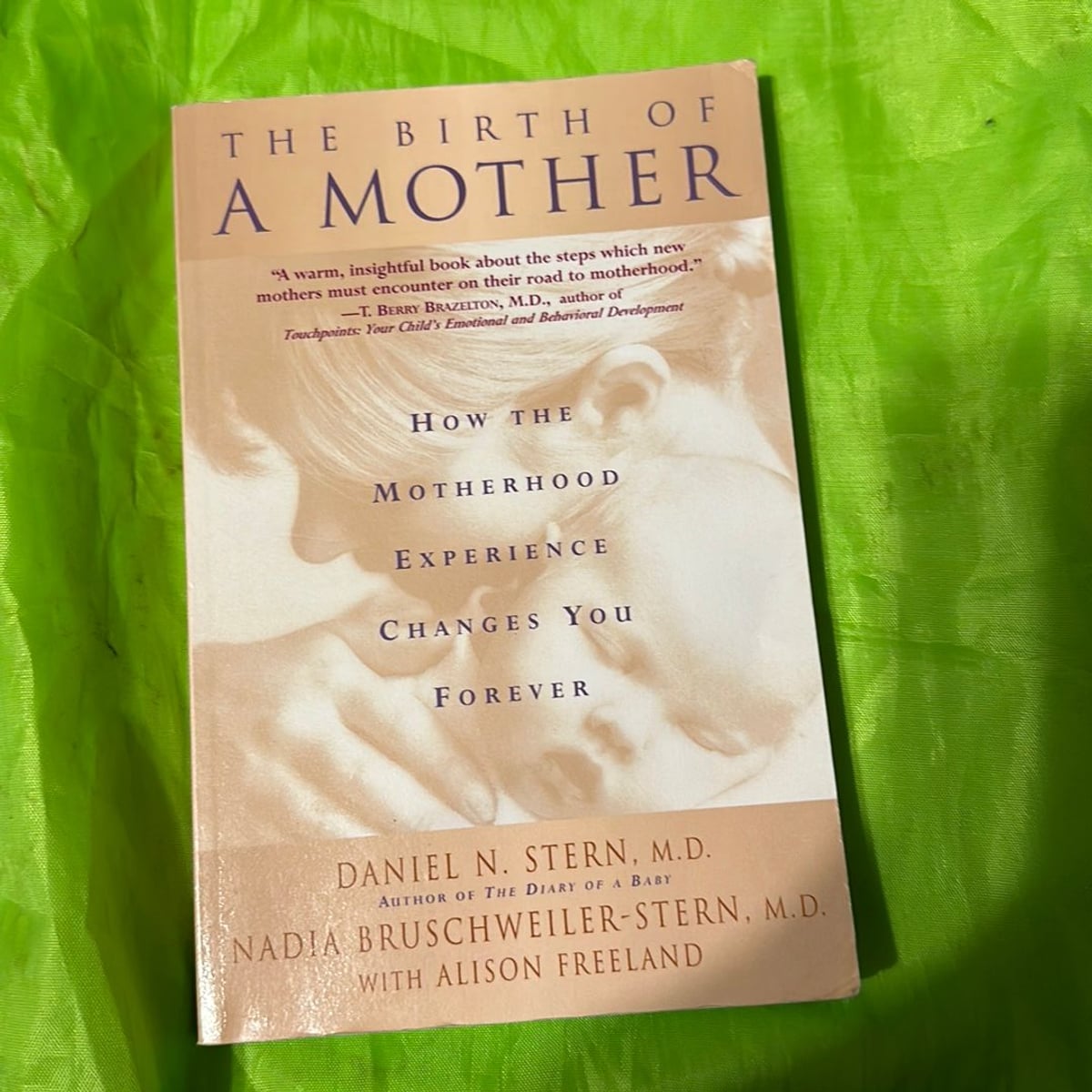 The Birth of a Mother by Daniel N. Stern, Paperback | Pangobooks