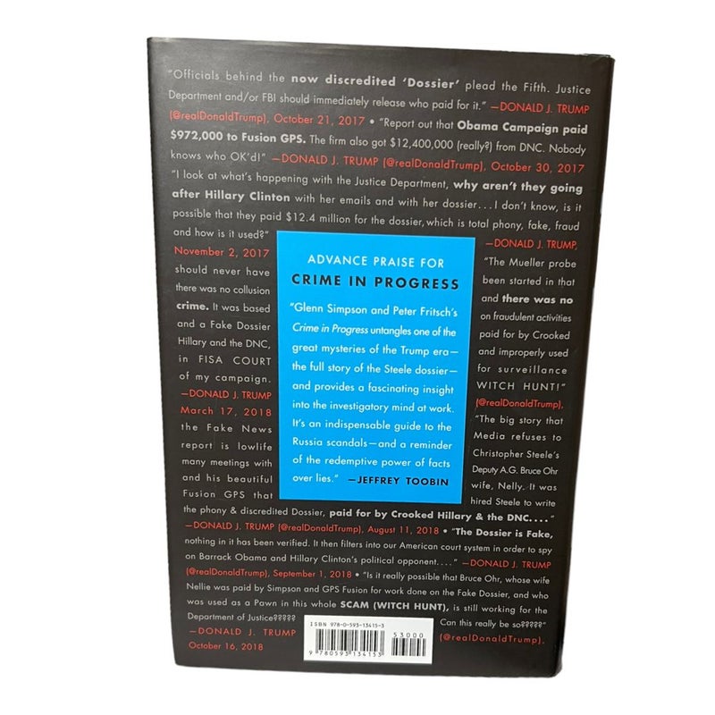 Crime in Progress by Glenn Simpson, Peter Fritsch