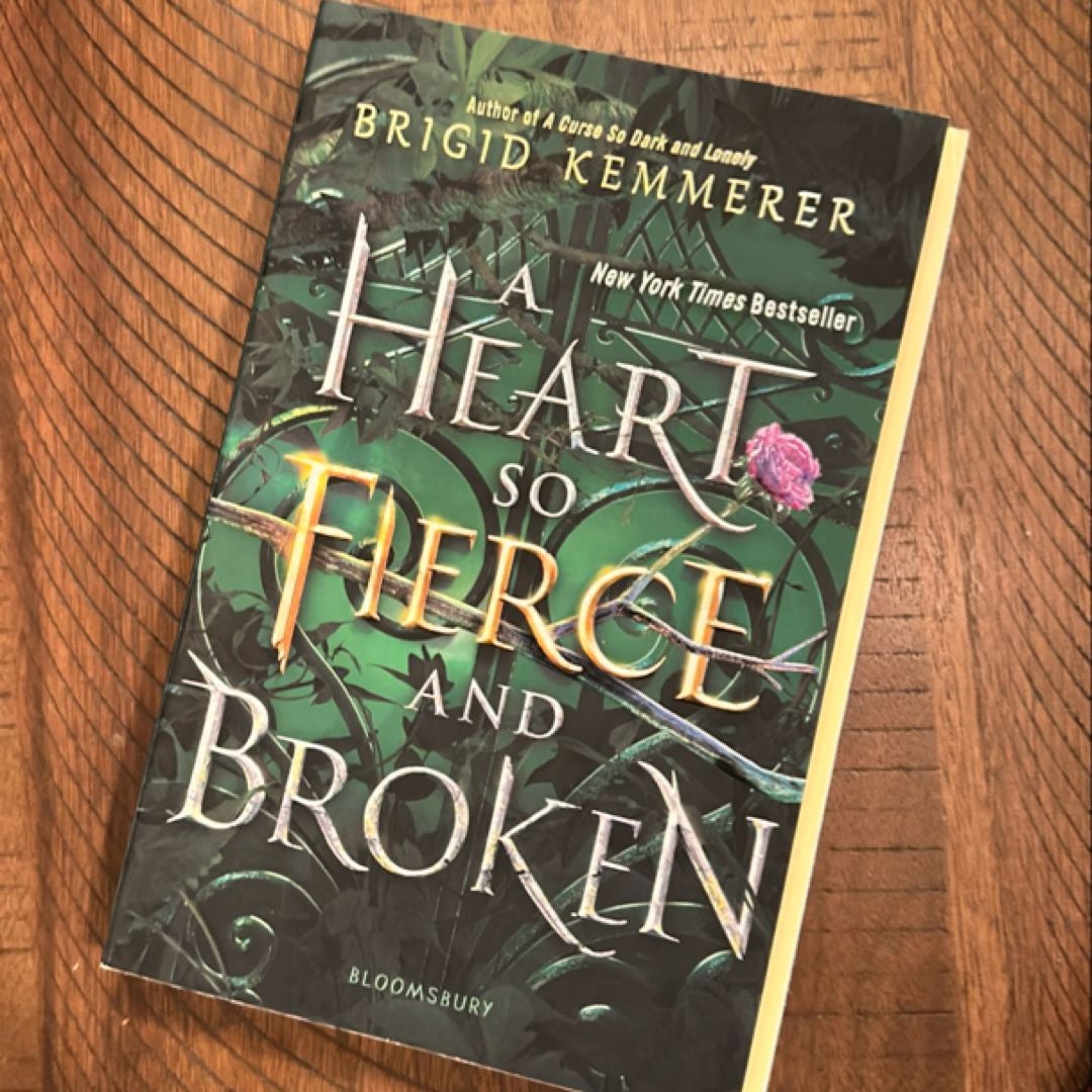 A Heart So Fierce and Broken by Brigid Kemmerer, Paperback | Pangobooks
