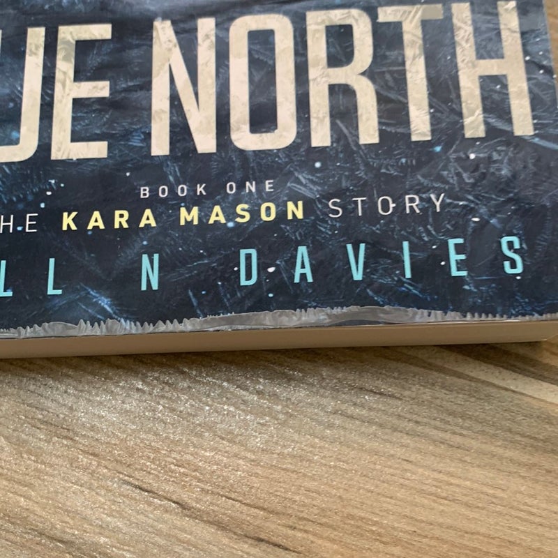 Due North by Jill Davies