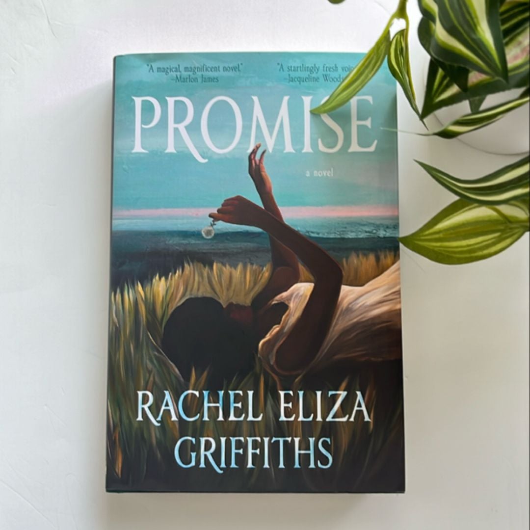 Promise by Rachel Eliza Griffiths