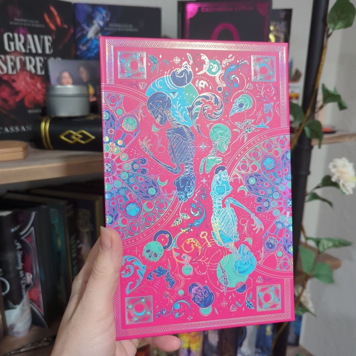 Masters of Death bookish box exclusive by Olivie Blake, Hardcover ...