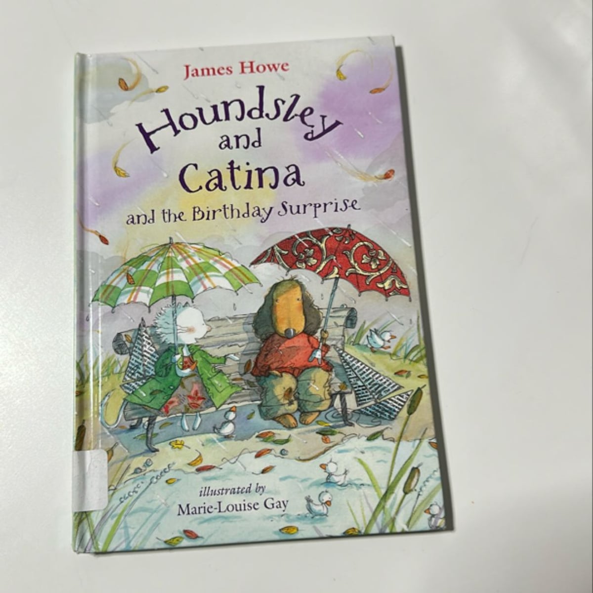 Houndsley and Catina and the Birthday Surprise by James Howe