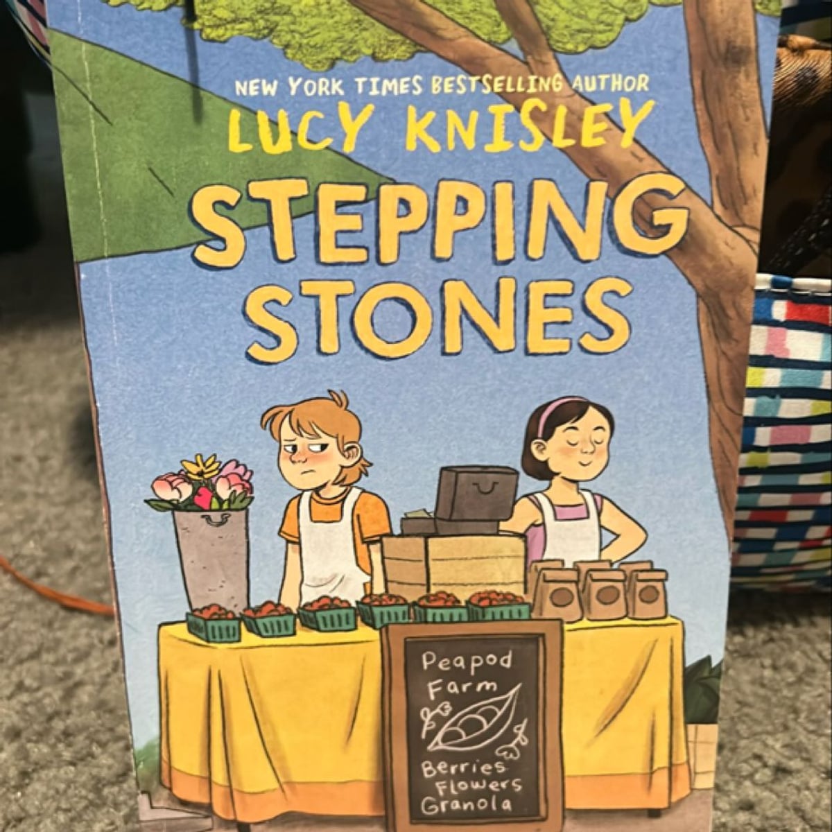 Stepping Stones by Lucy Knisley, Paperback | Pangobooks