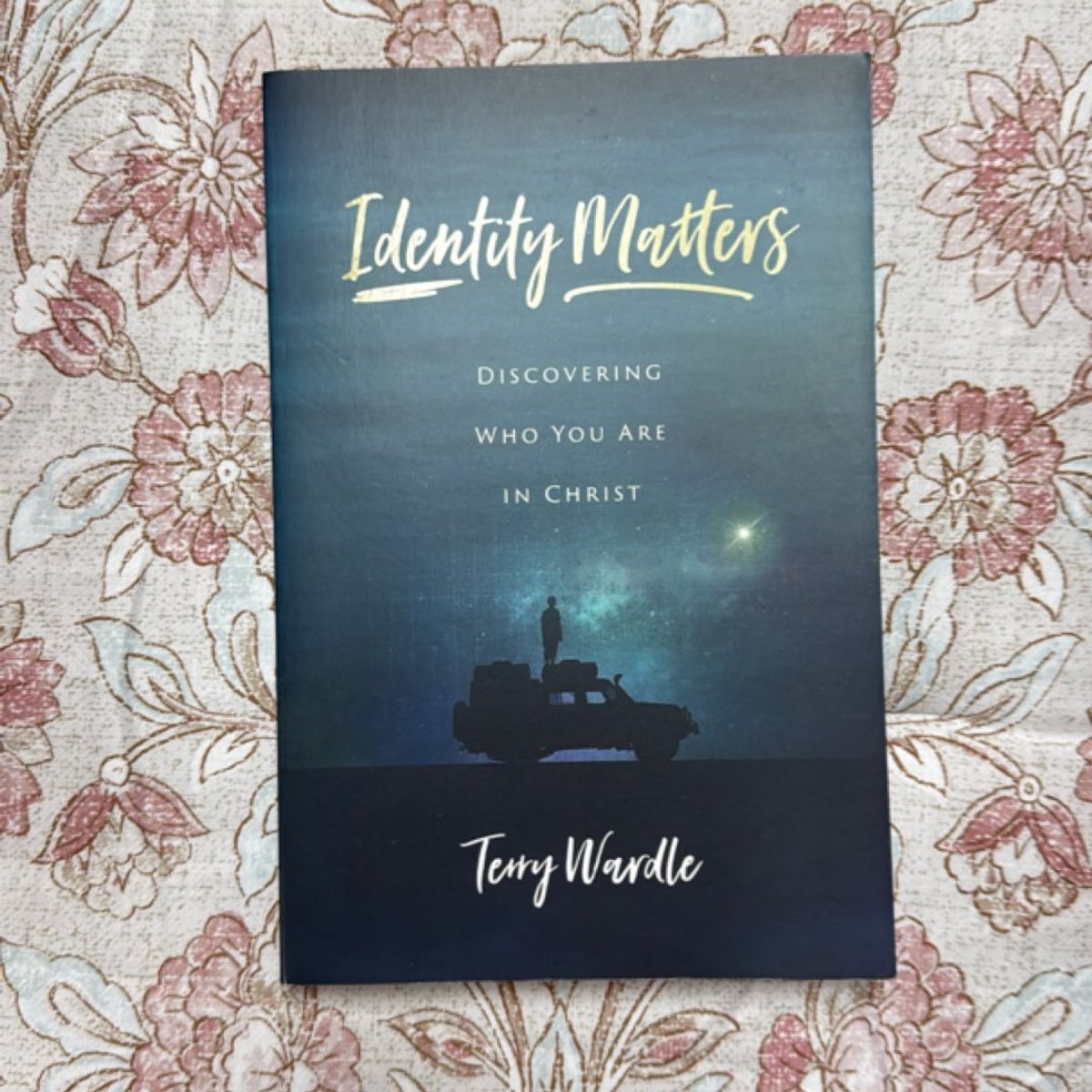 Identity Matters by Terry Wardle