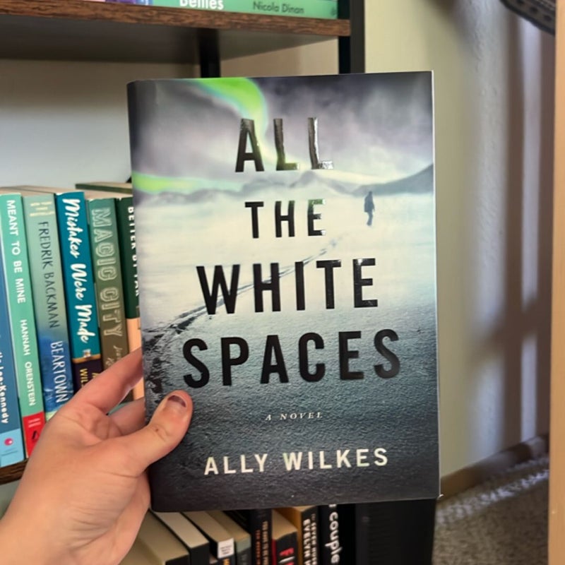 All the White Spaces by Ally Wilkes, Hardcover | Pangobooks