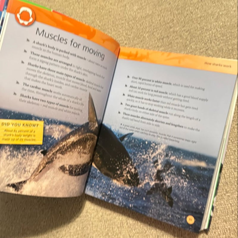 Encyclopedia of Sharks by Barbara Taylor