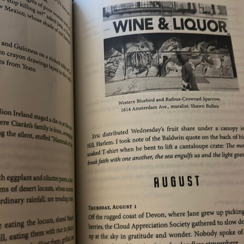 Lessons for Survival by Emily Raboteau, Paperback | Pangobooks