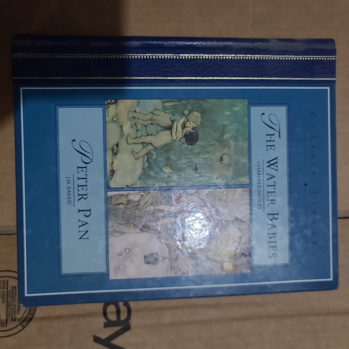 Water Babies / Peter Pan by Charles Kingsley, James Matthew Barrie ...