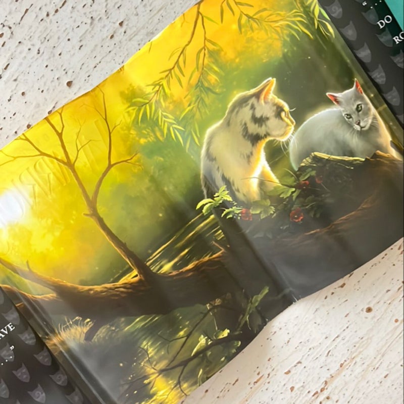 Warriors: a Vision of Shadows #3: Shattered Sky by Erin Hunter