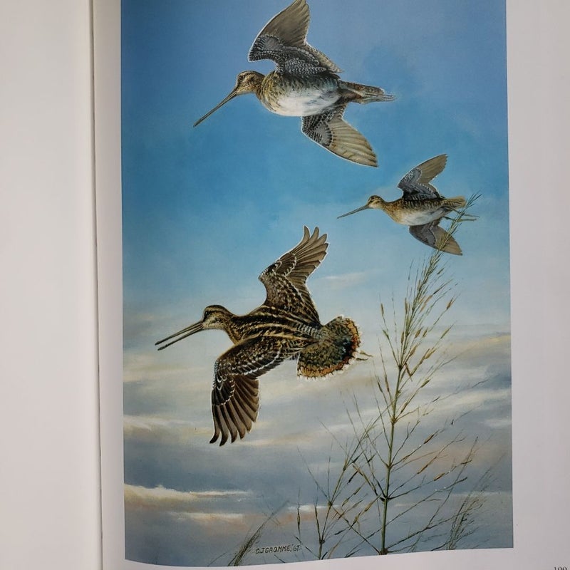 Birds of Wisconsin by Owen J. Gromme, Samuel D. Robbins