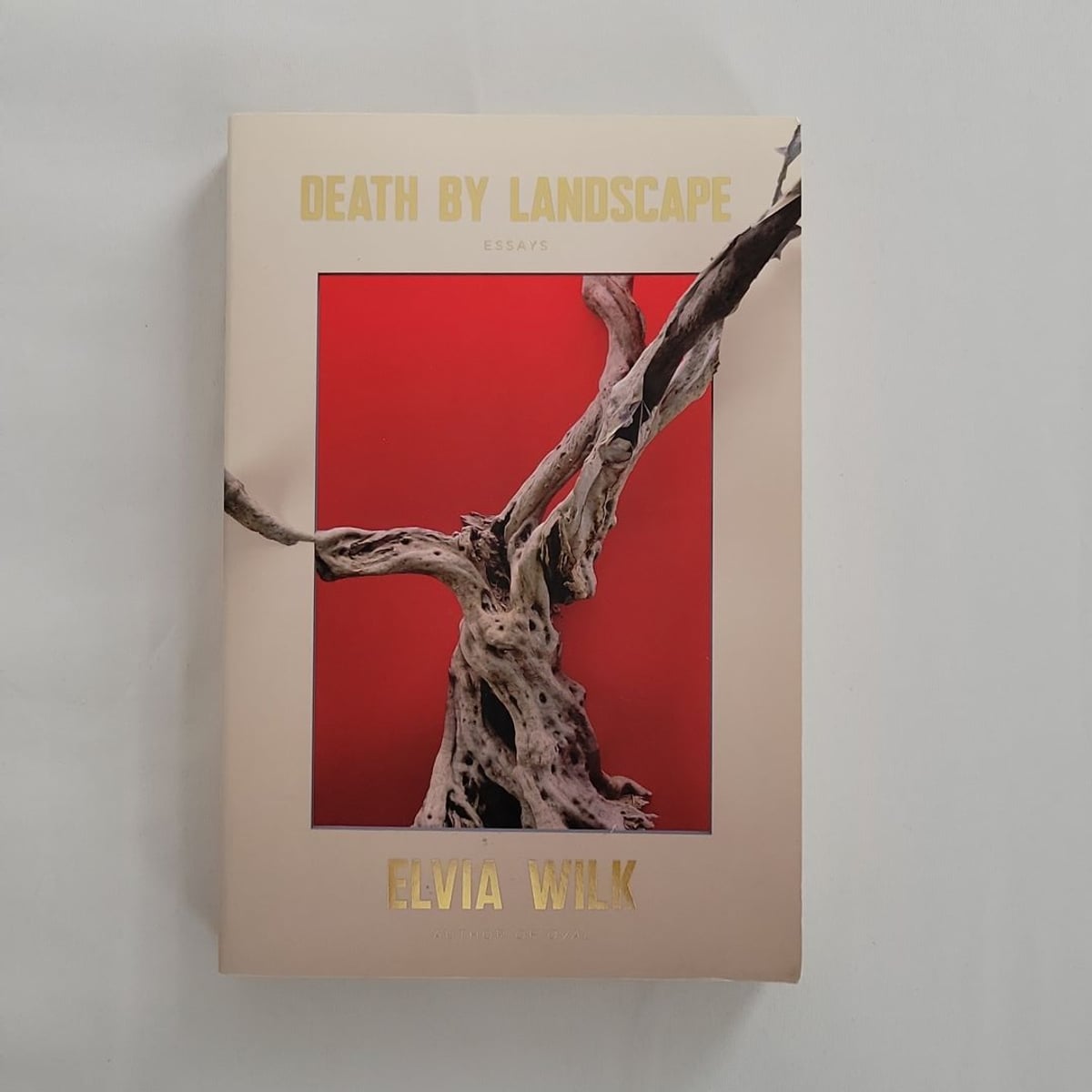 Death by Landscape by Elvia Wilk, Paperback | Pangobooks