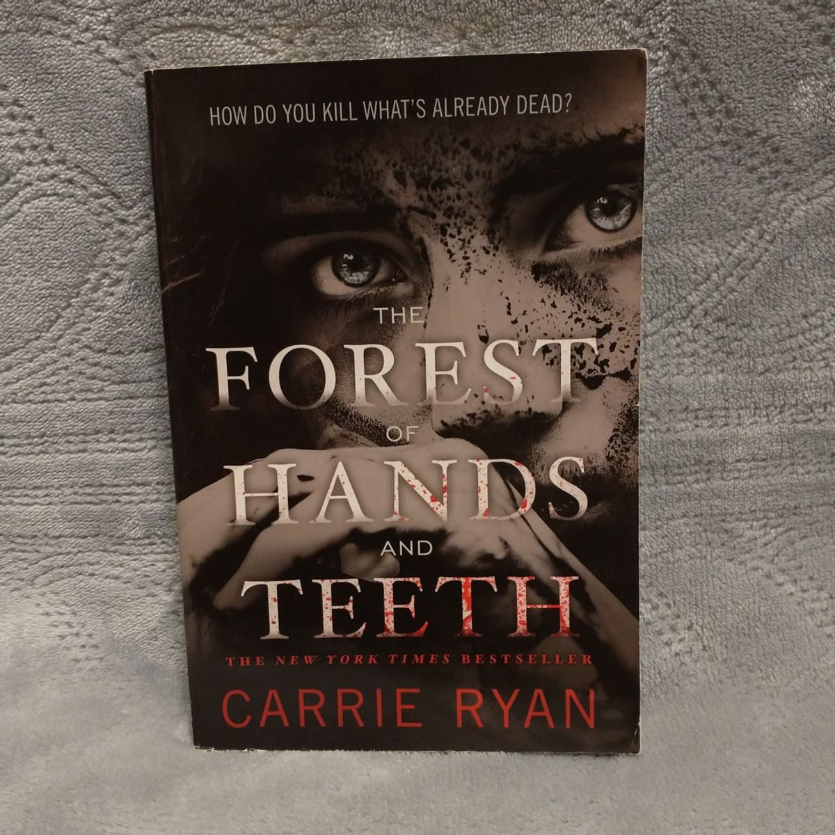 The Forest of Hands and Teeth by Carrie Ryan
