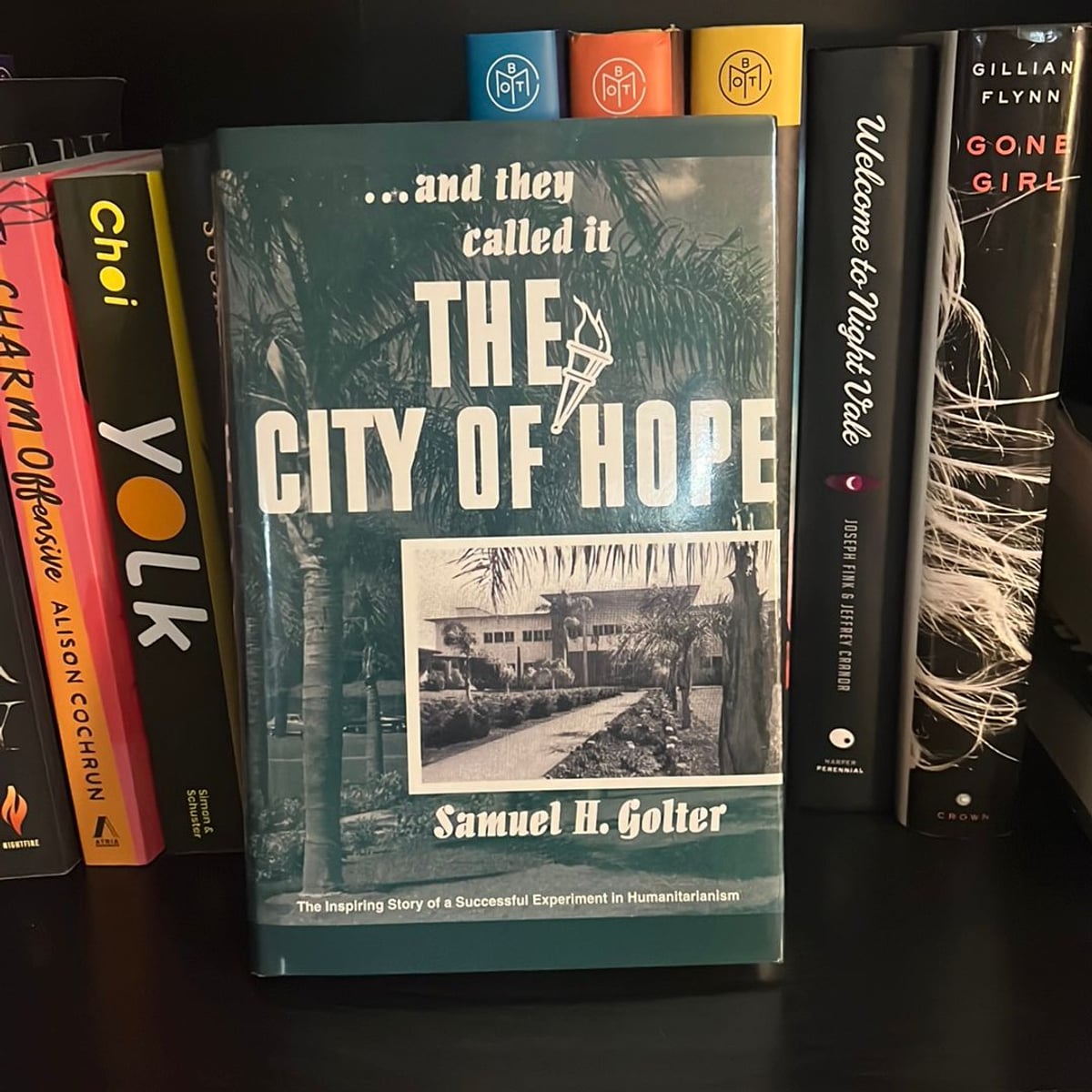 The City of Hope by Samuel H. Golter, Hardcover | Pangobooks