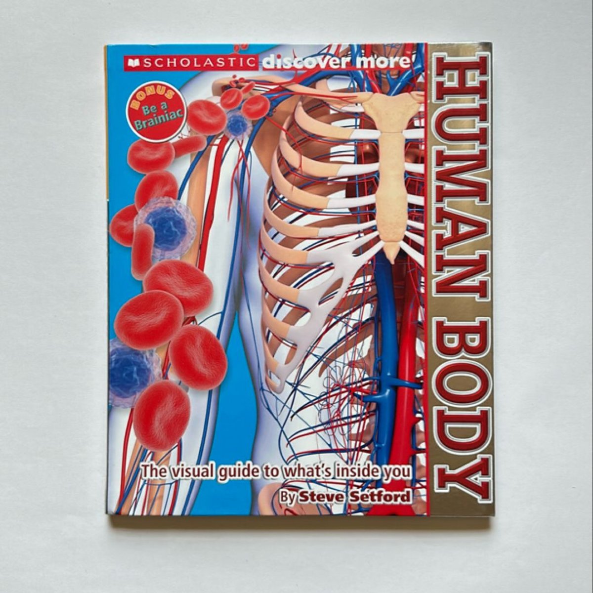 Scholastic Discover More: Human Body by Steve Setford