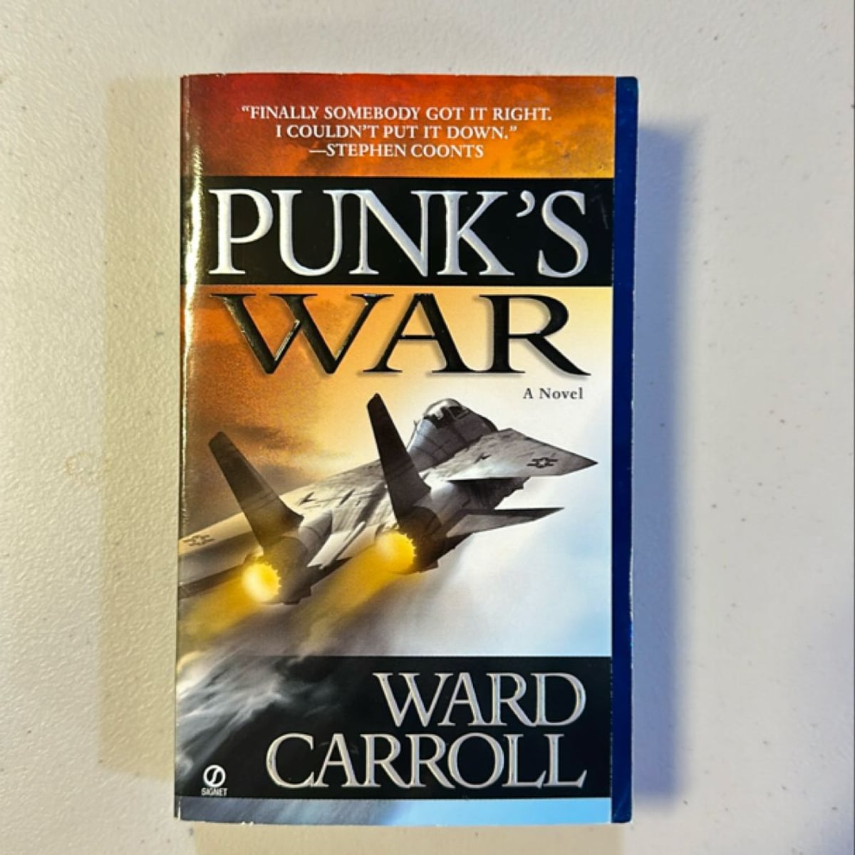 Punk's War by Ward Carroll