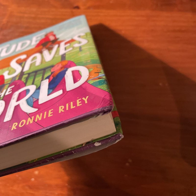 Jude Saves the World by Ronnie Riley, Hardcover | Pangobooks