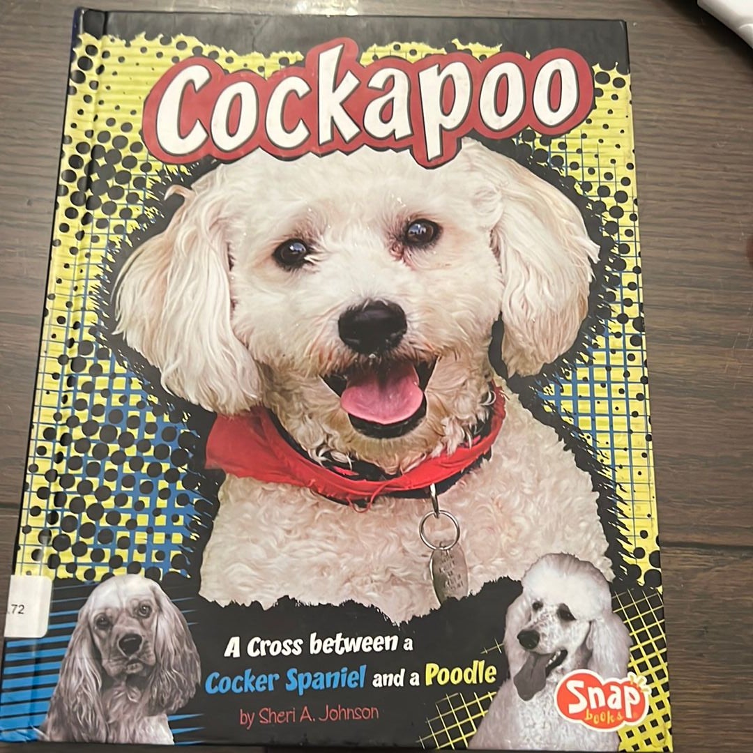 Cockapoo by Sheri A. Johnson