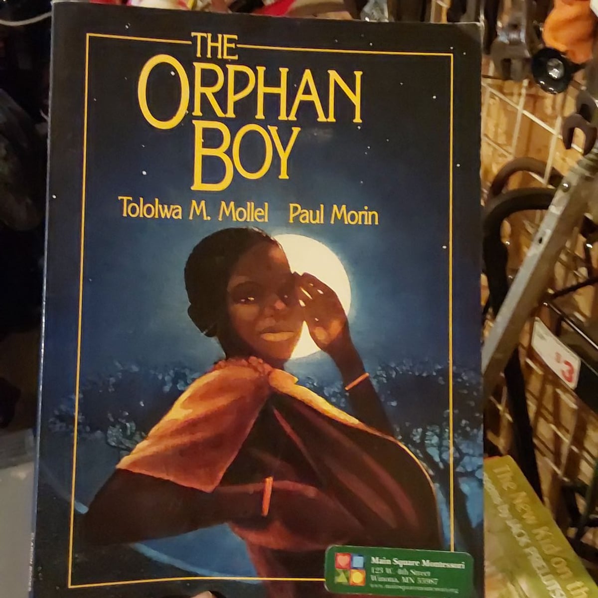 The Orphan Boy by Tololwa M. Mollel