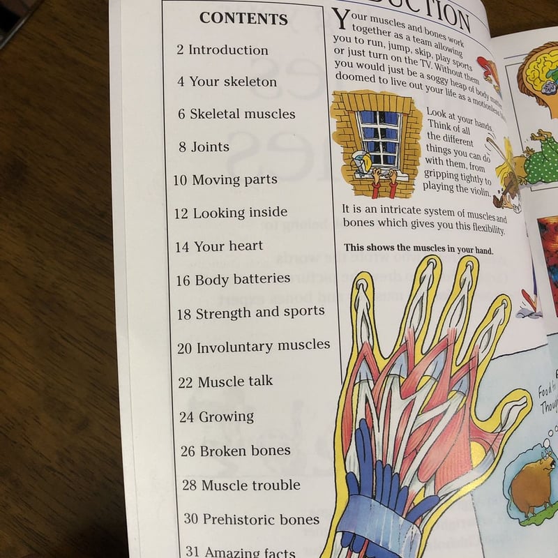Understanding Your Muscles and Bones by Rebecca Treays