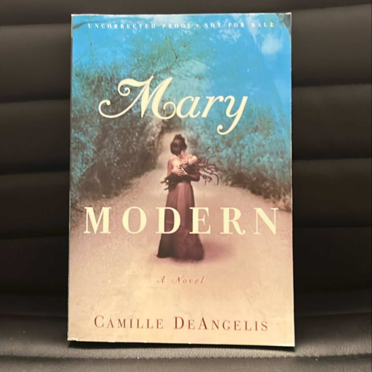 Mary Modern by Camille DeAngelis