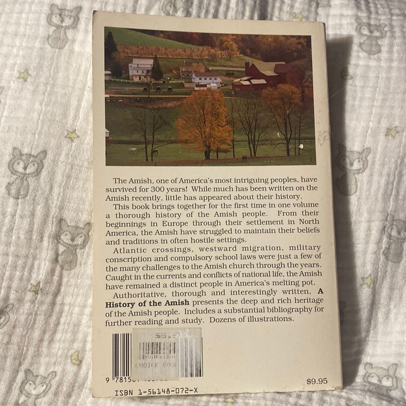 A History of the Amish by Steven M. Nolt , Paperback | Pangobooks