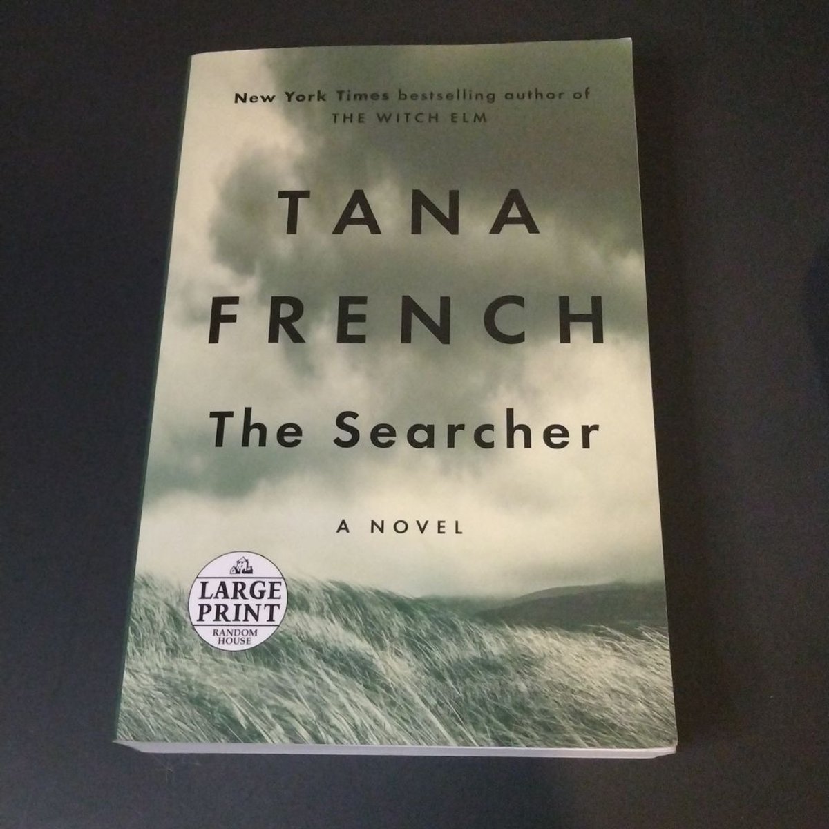 The Searcher by Tana French