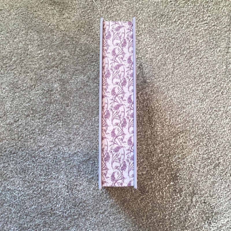 Between Wrath and Mercy (Bookish Box) by Jess Wisecup, Hardcover ...