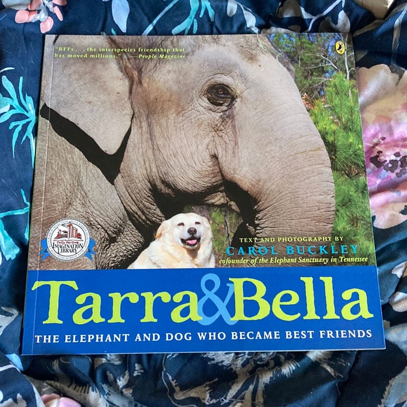 Tarra & Bella by Carol Buckley, Paperback | Pangobooks