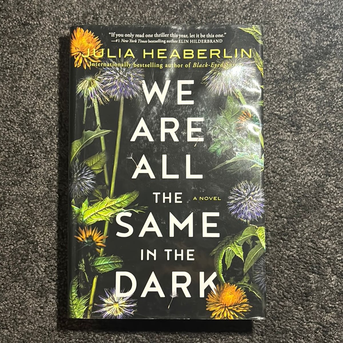 We Are All the Same in the Dark by Julia Heaberlin, Hardcover | Pangobooks