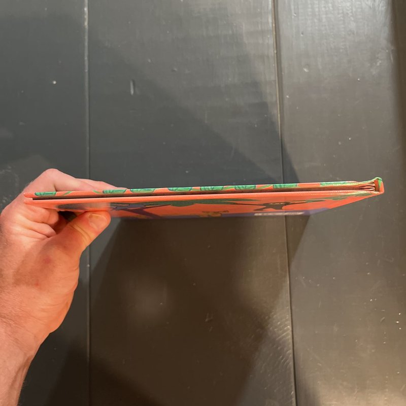 The Race of Toad and Deer by Pat Mora