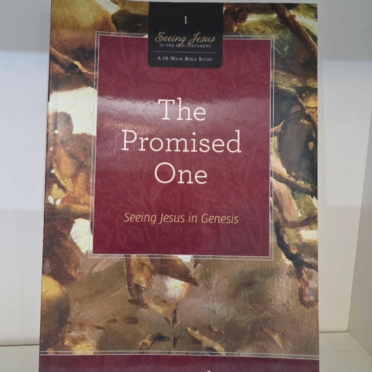The Promised One by Nancy Guthrie
