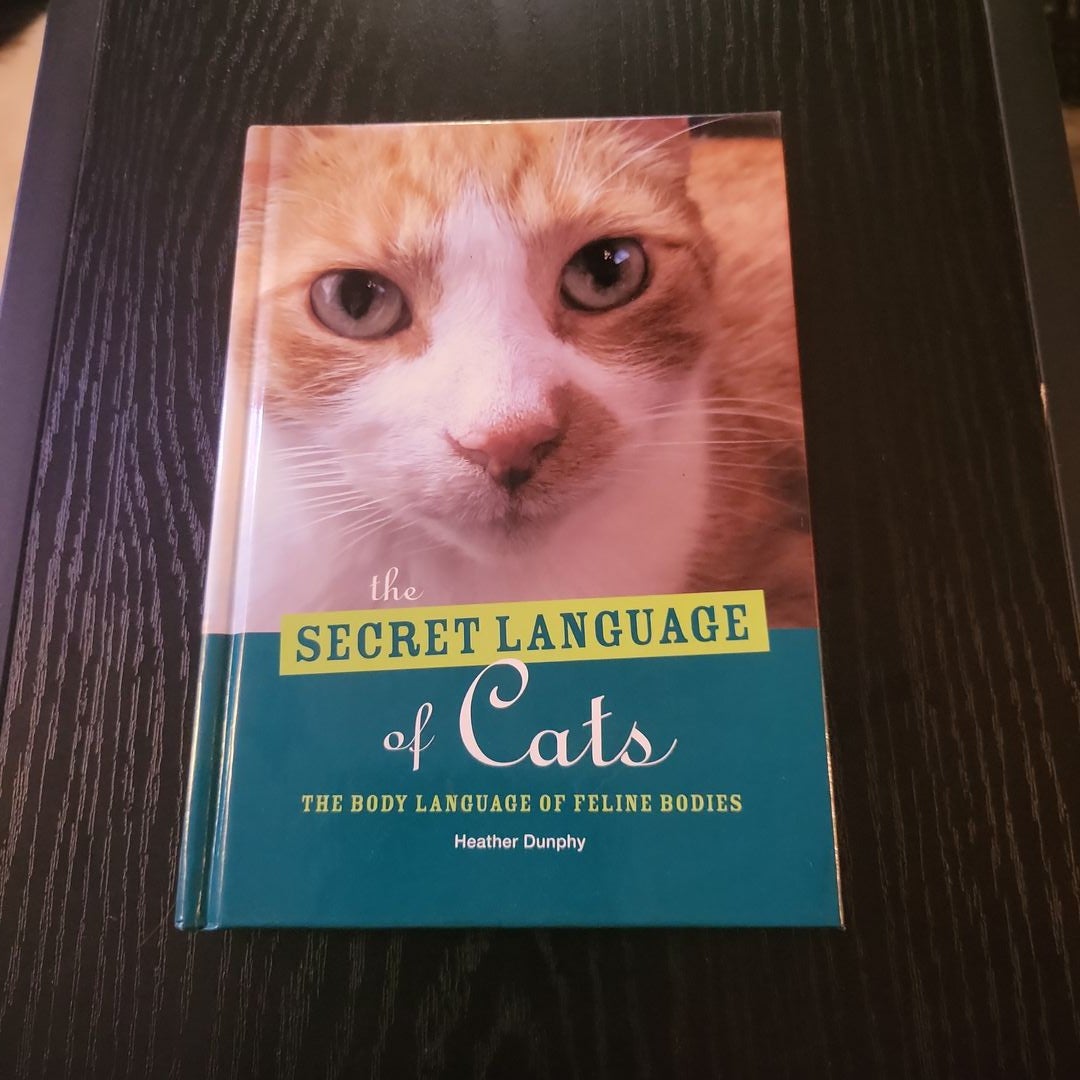 The Secret Life of Cats by Heather Dunphy, Hardcover | Pangobooks
