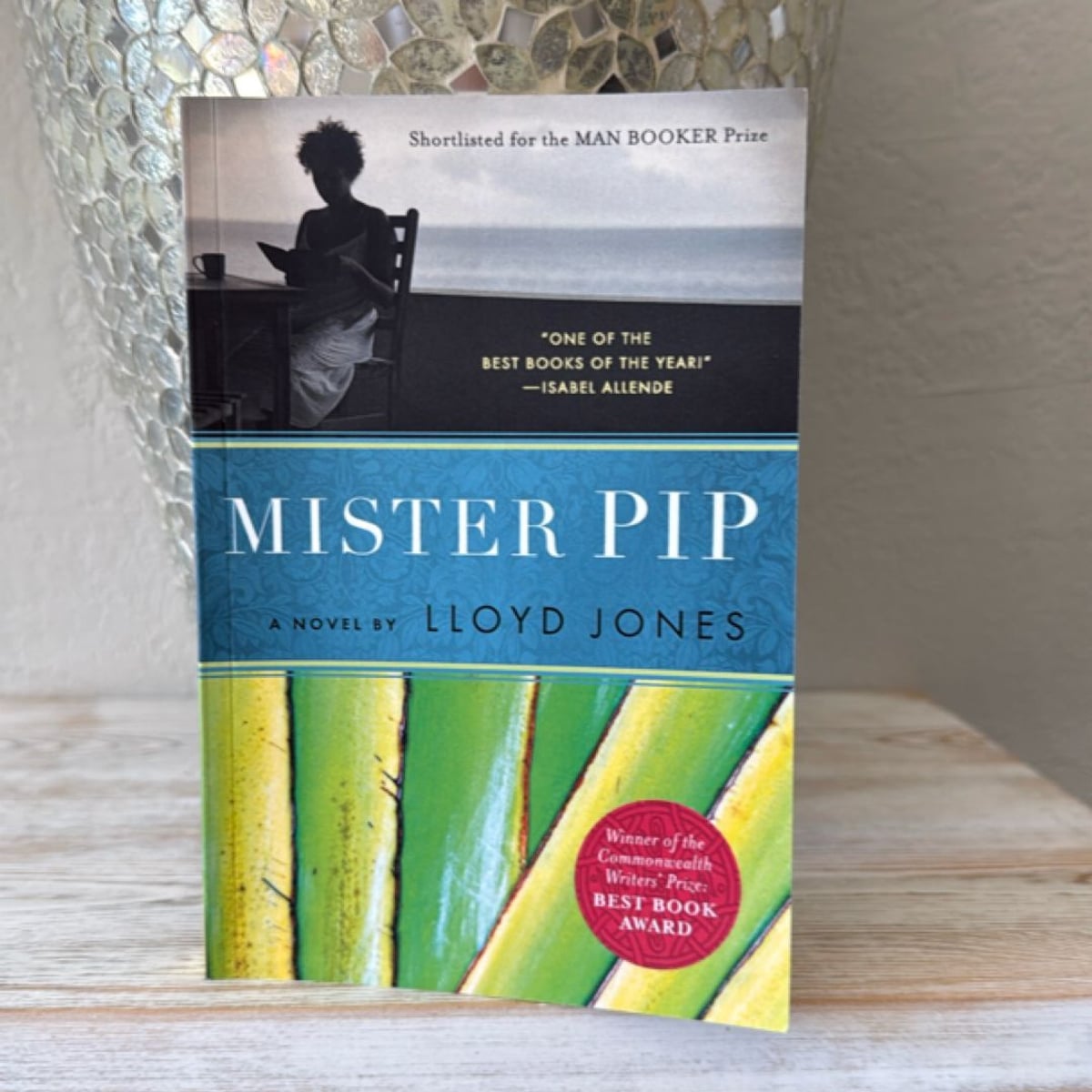 Mister Pip by Lloyd Jones