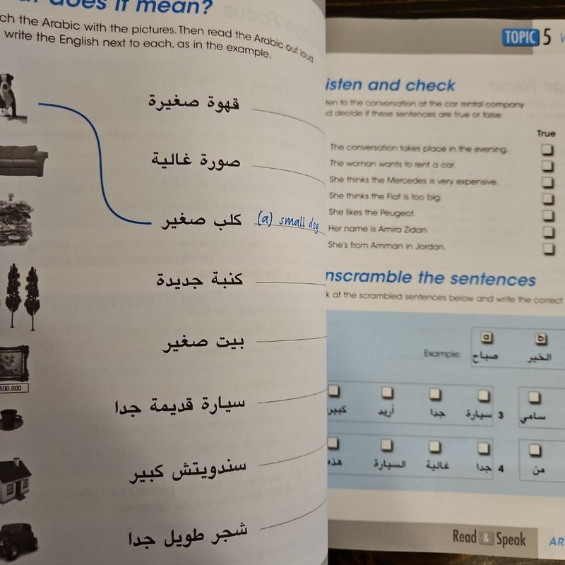 Read and Speak Arabic for Beginners by Jane Wightwick, Mahmoud Gaafar