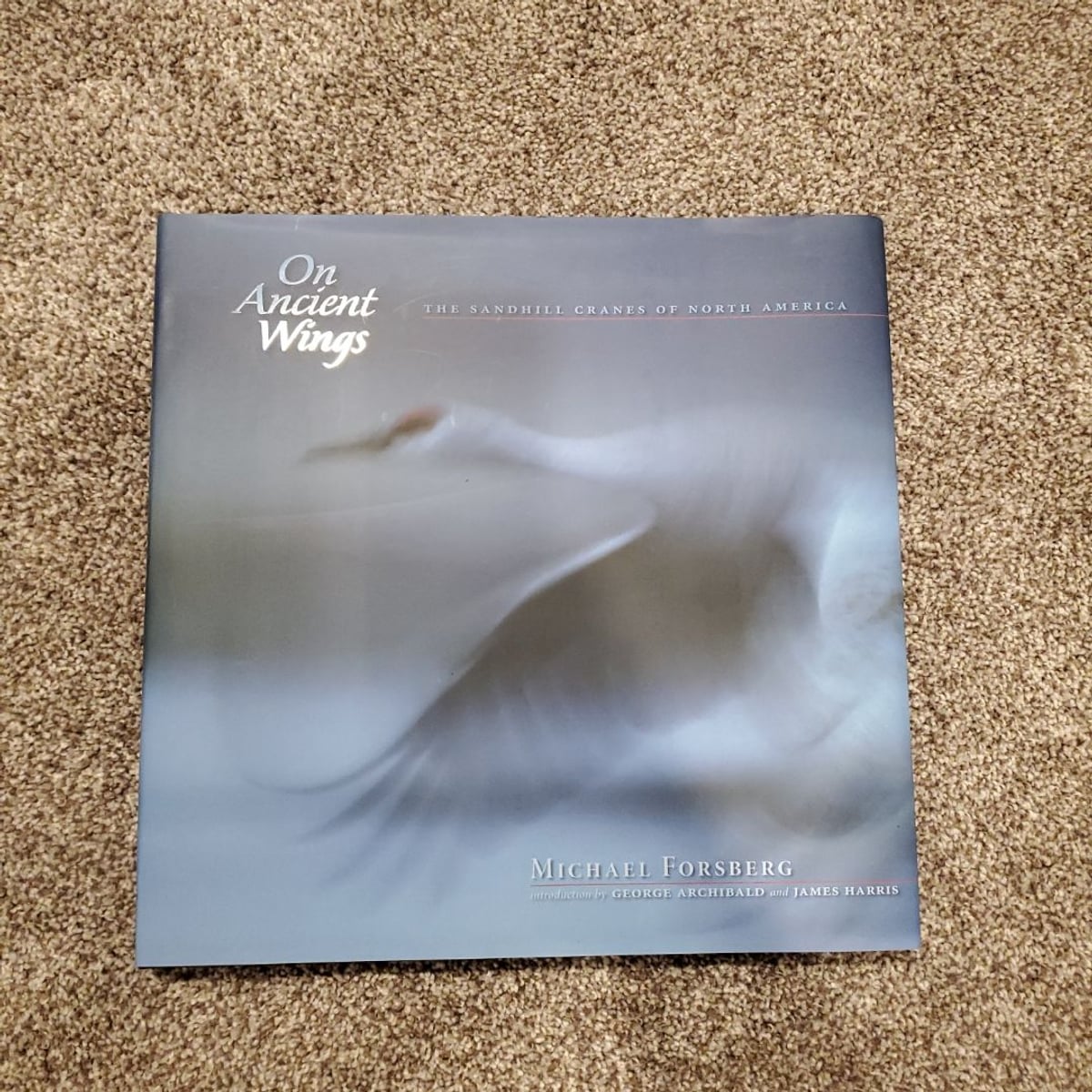 On Ancient Wings by Michael Forsberg, James Harris, George Archibald