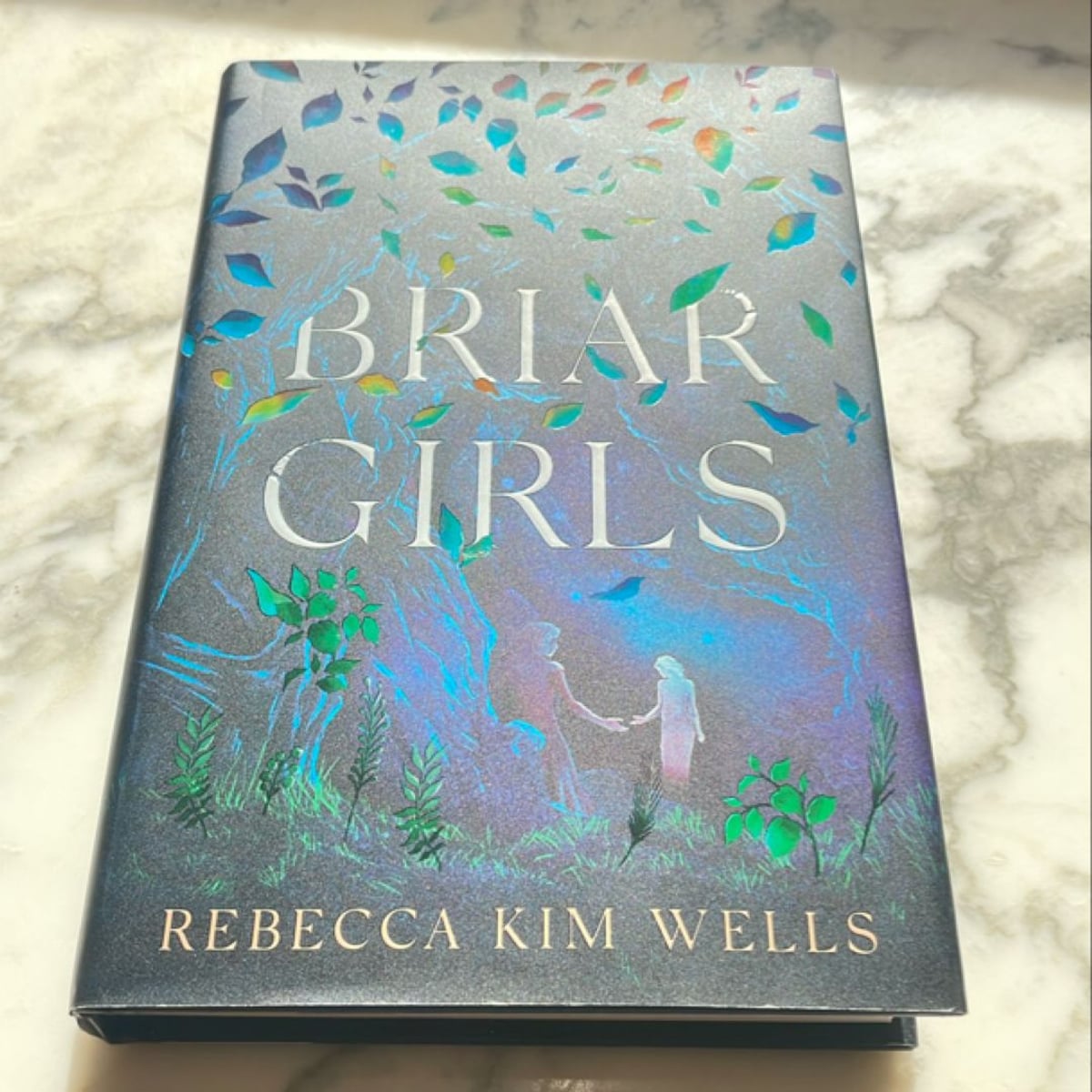 Briar Girls by Rebecca Kim Wells