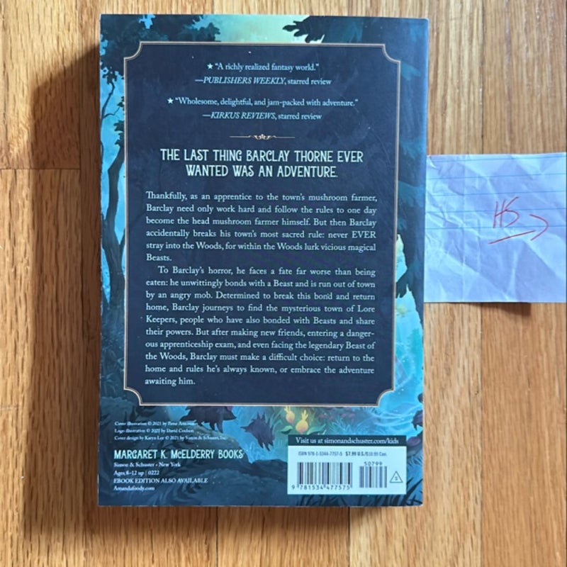 The Accidental Apprentice by Amanda Foody