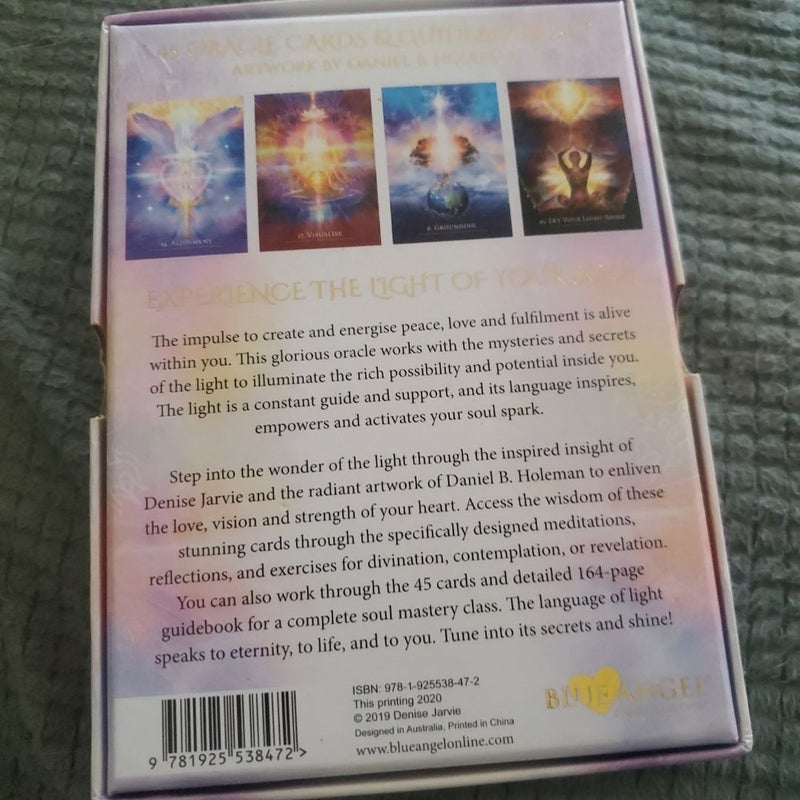 The Secret Language of Light by Denise Jarvie, Daniel B. Holeman