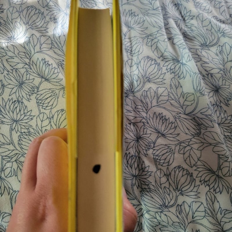 A Song below Water by Bethany C. Morrow, Hardcover | Pangobooks