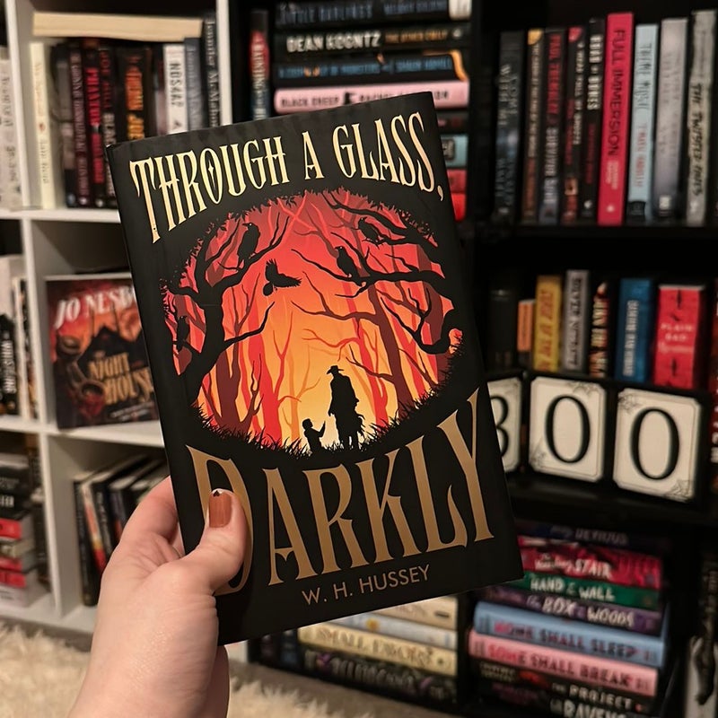 Through A Glass Darkly by W. H. Hussey, Hardcover | Pangobooks