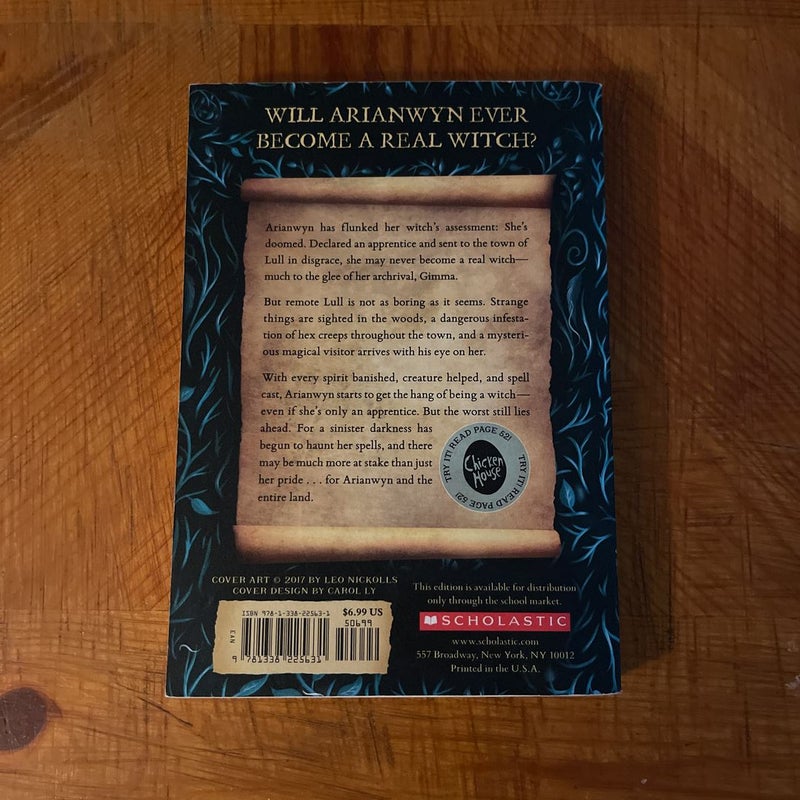 The Apprentice Witch by James Nicol, Paperback | Pangobooks